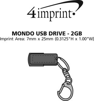 4imprint.ca: Mondo USB Drive - 2GB C122709-2G